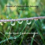 SoCS: life chapters – Joanne Corey